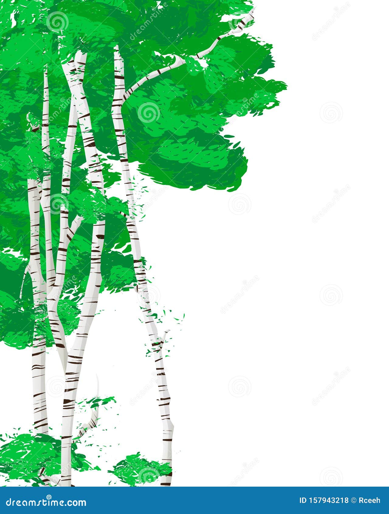 Silver Birch Trees Template Stock Vector - Illustration of abstract ...