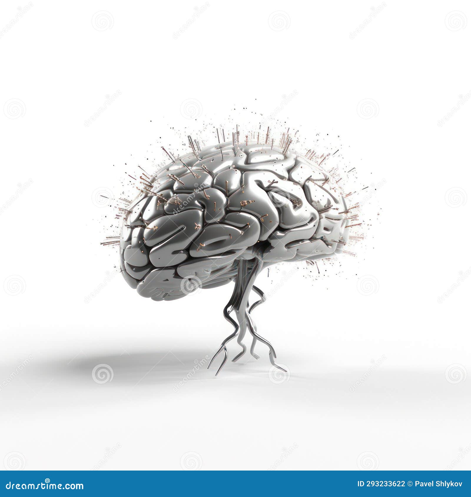 Silver Brains on White Background Stock Illustration - Illustration of ...