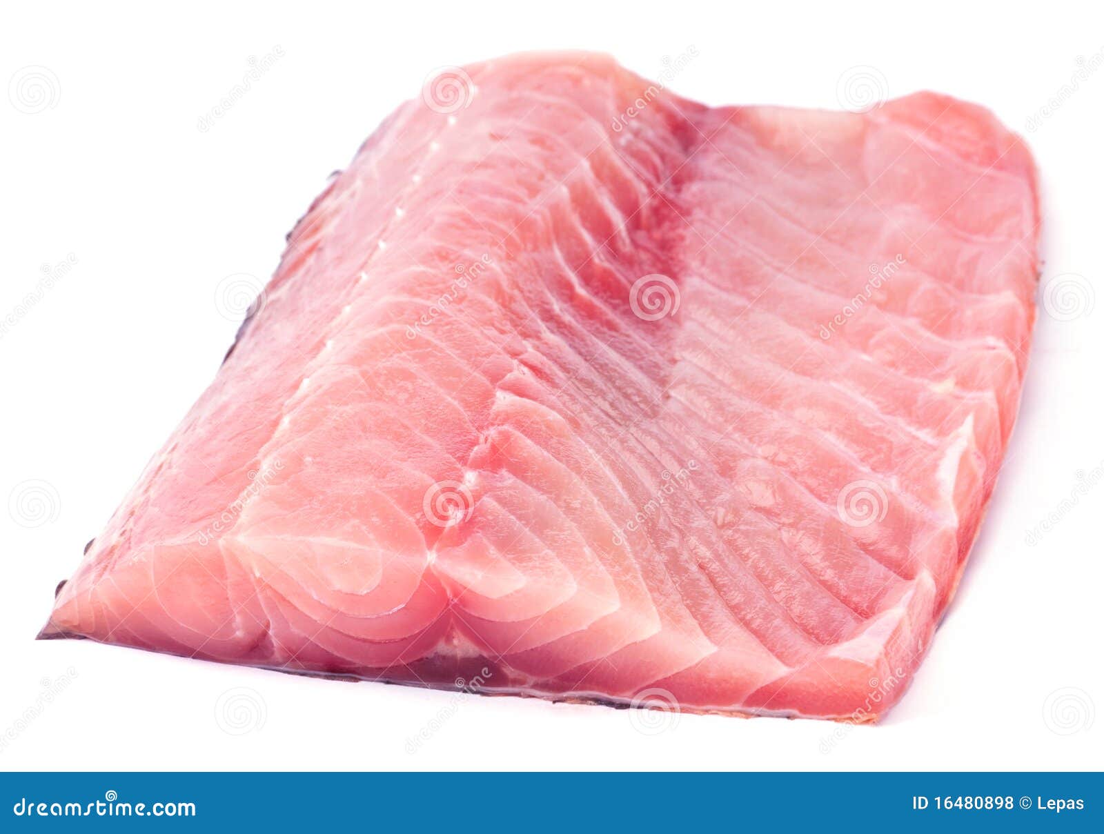 Silver carp fillet stock photo. Image of fillet, fresh - 16480898