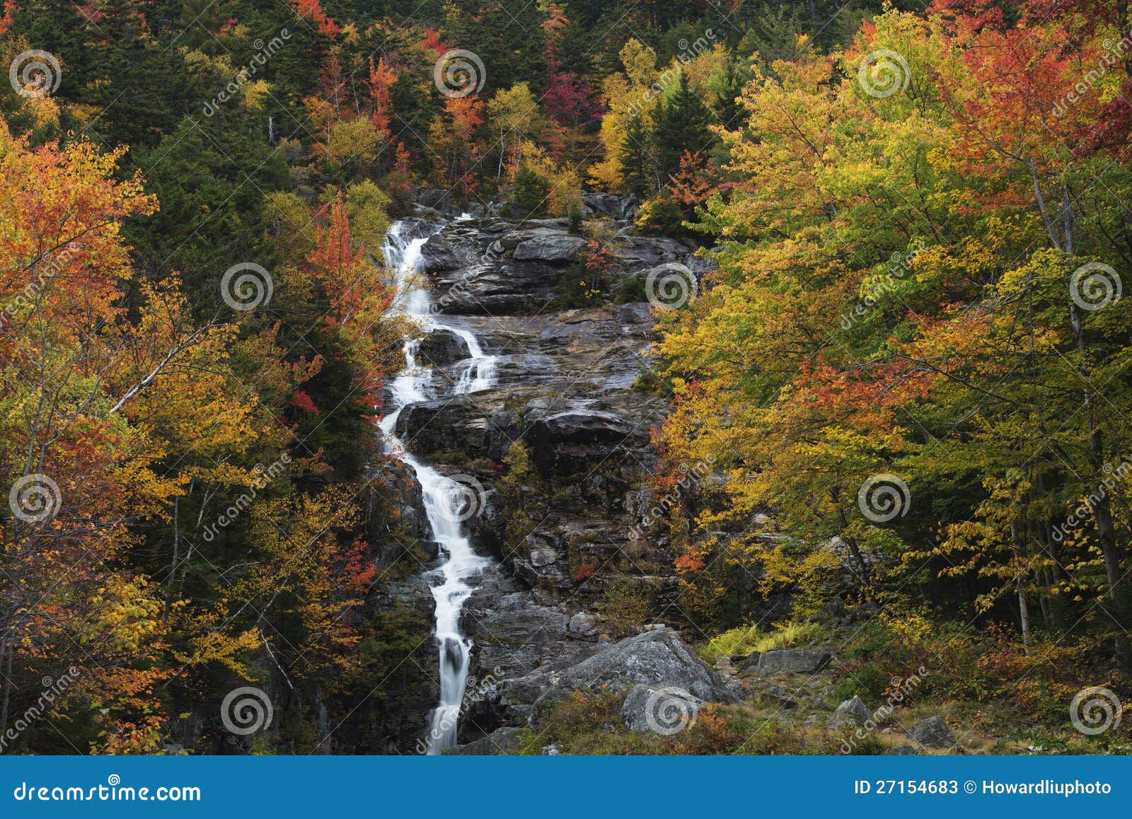 Silver Cascade in Autumn stock image. Image of bush, autumn - 27154683
