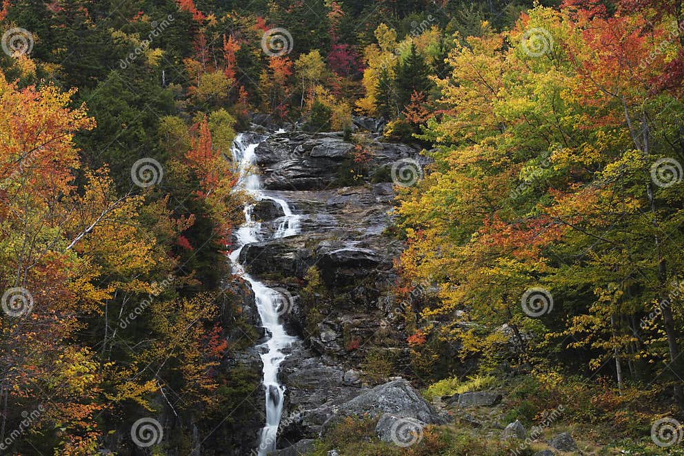 Silver Cascade in Autumn stock image. Image of bush, autumn - 27154683