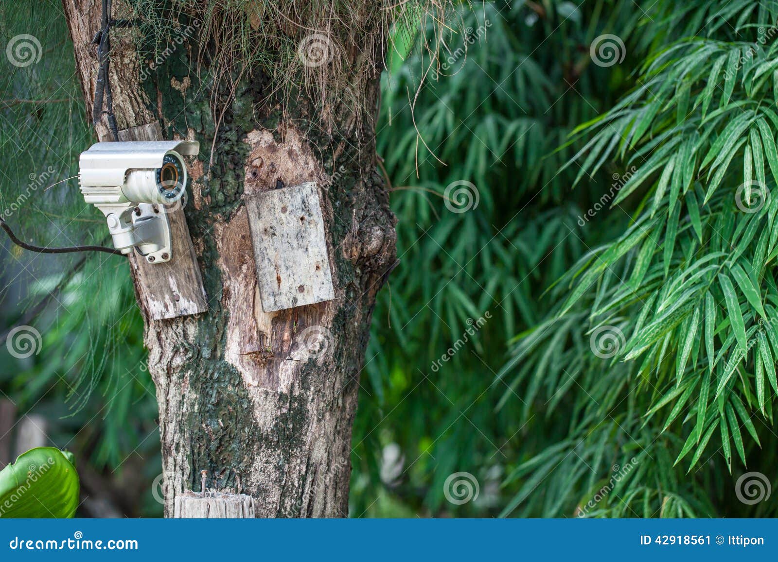 Silver CCTV Camera stock image. Image of resident, spectator - 42918561