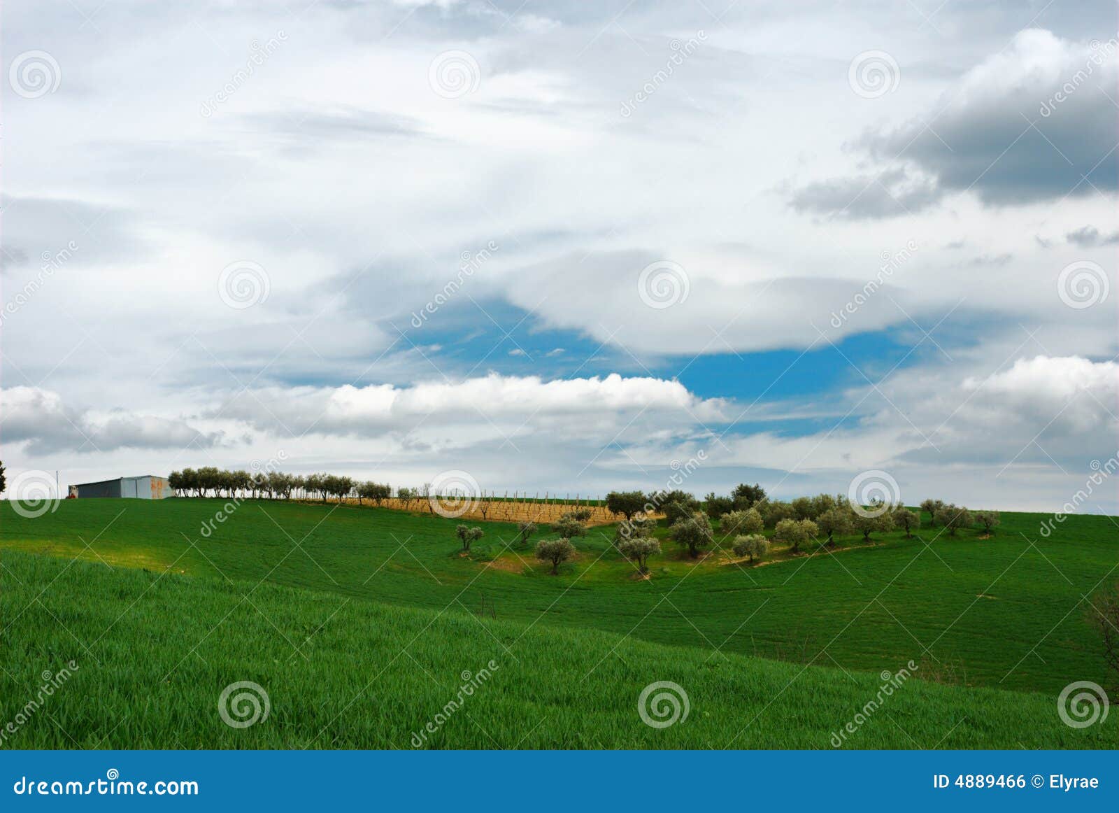 Silver clouds stock photo. Image of meadow, nature, environment - 4889466