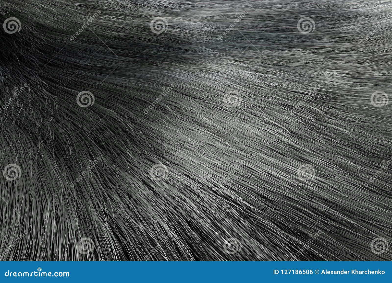 Silver Color Animal Fur Texture of Wolf or Fox. 3d Rendering Stock ...
