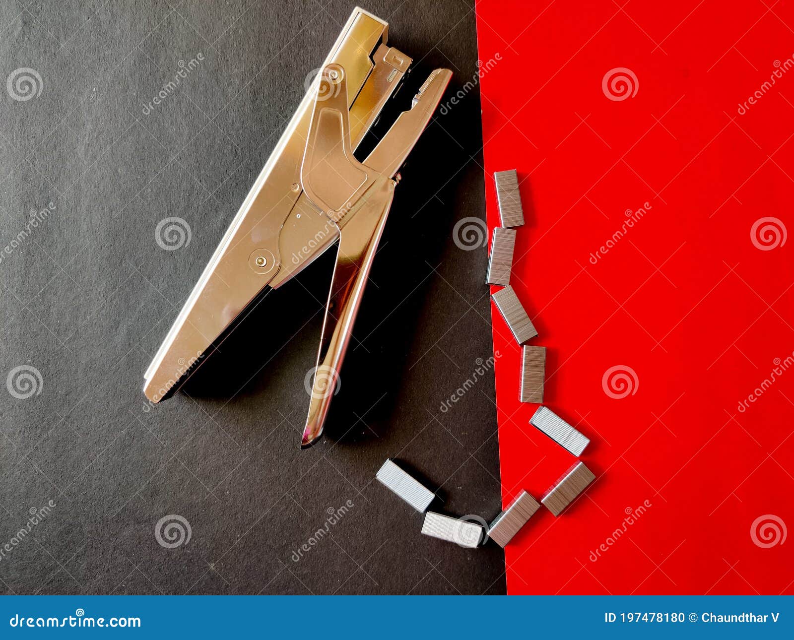 Silver Color Big Stapler and Stapler Pins Stock Photo - Image of ...