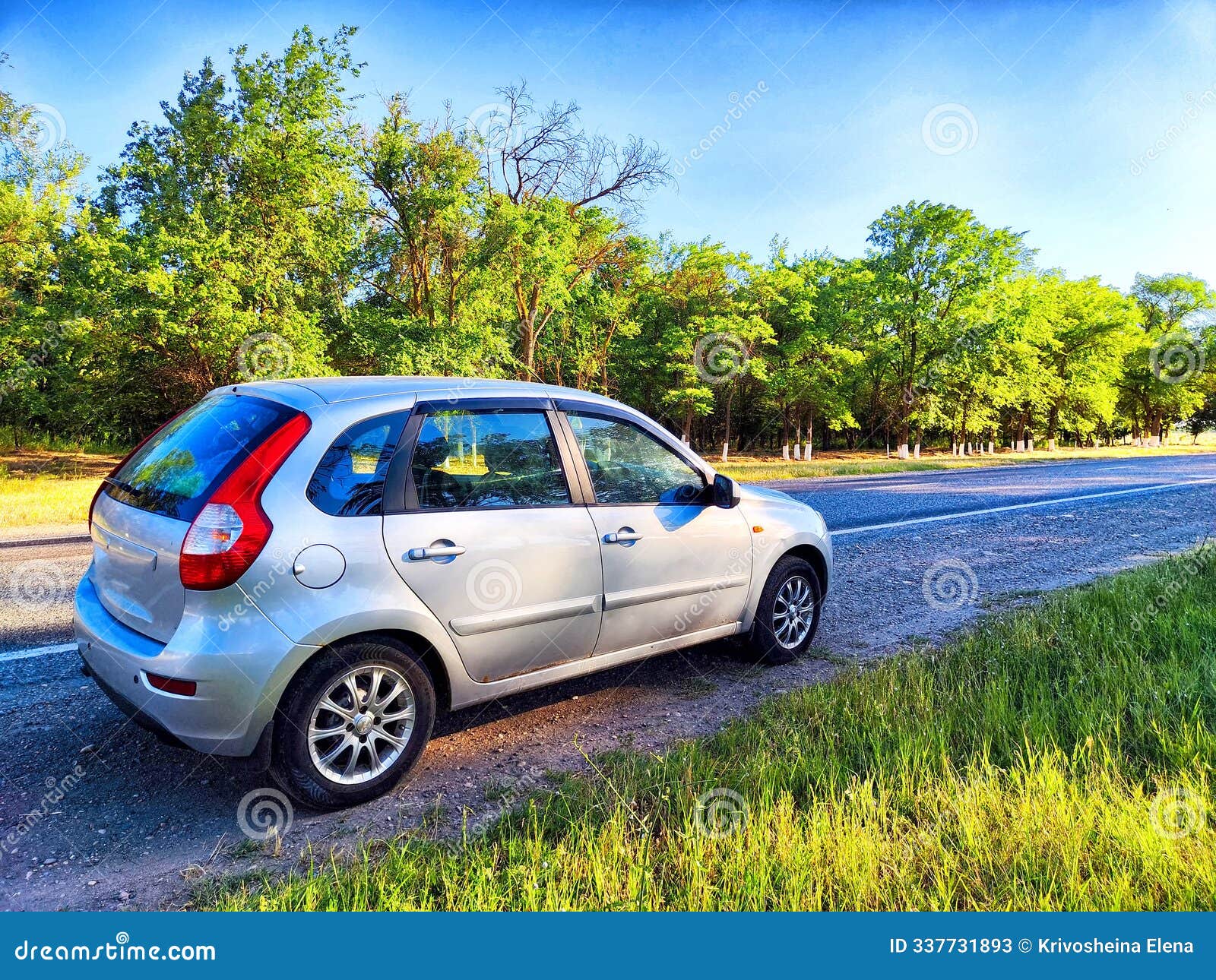 A Silver Compact Car is Parked beside a Tree-lined Road Under Clear ...