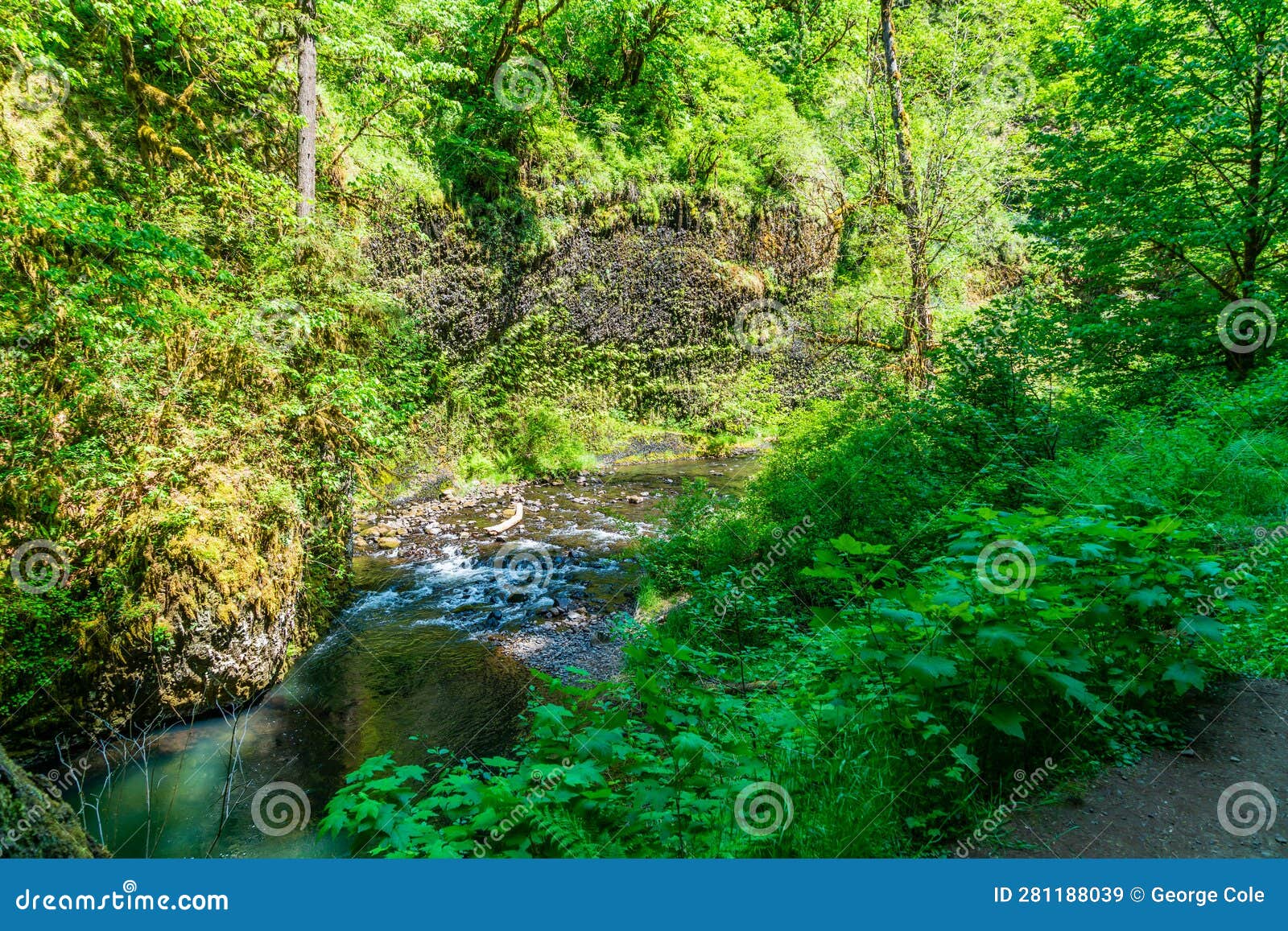 Silver Creek from Trail stock image. Image of trees - 281188039