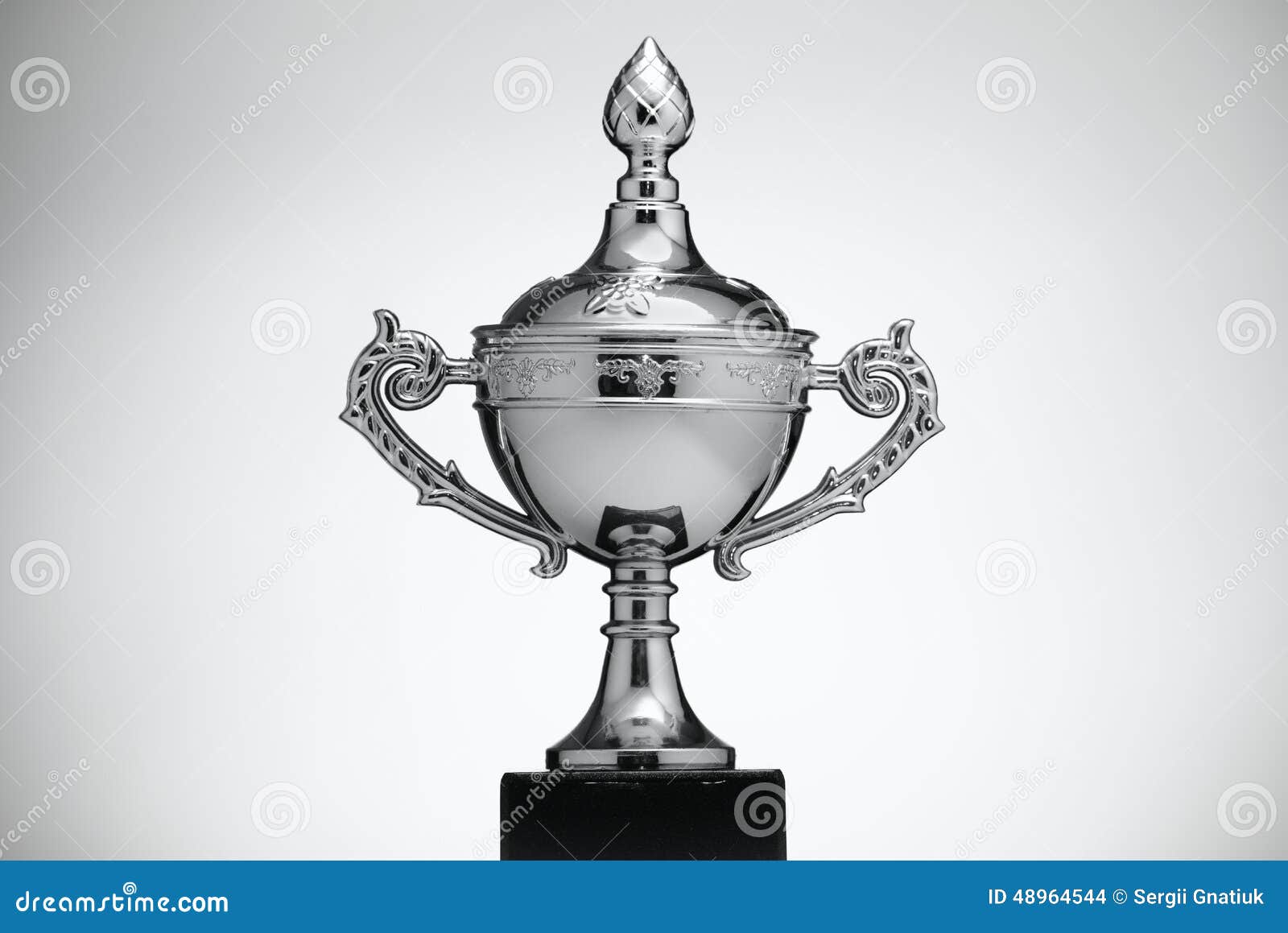 Silver Cup runner up stock photo. Image of closeup, metal - 48964544