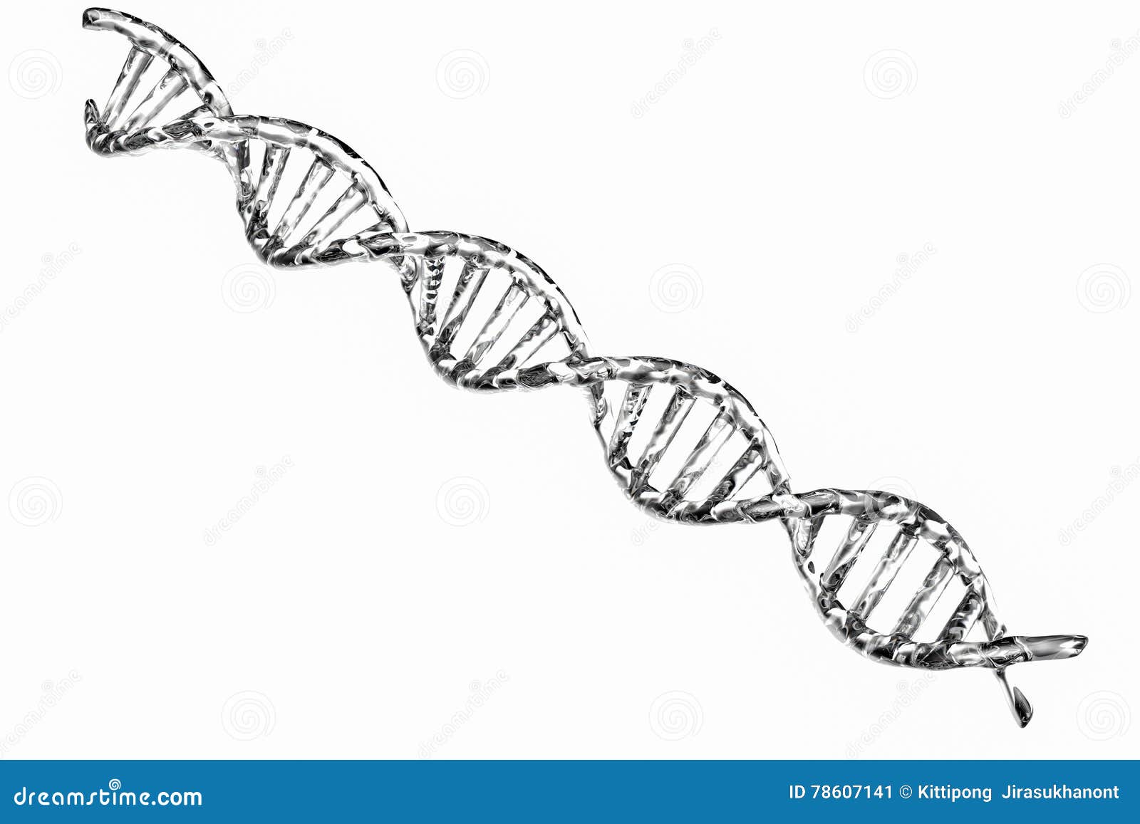 Silver Dna Spiral Stock Photos - Free & Royalty-Free Stock Photos from ...
