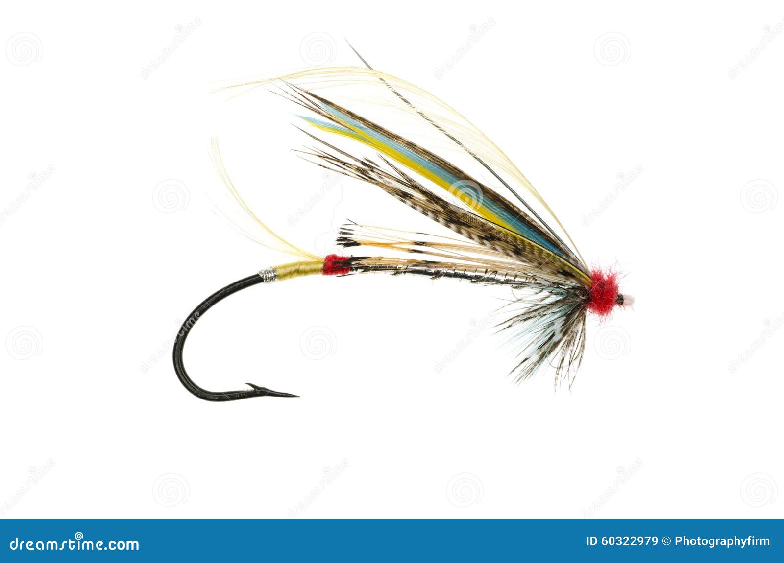 Silver Doctor Salmon Fly stock image. Image of fishing - 60322979