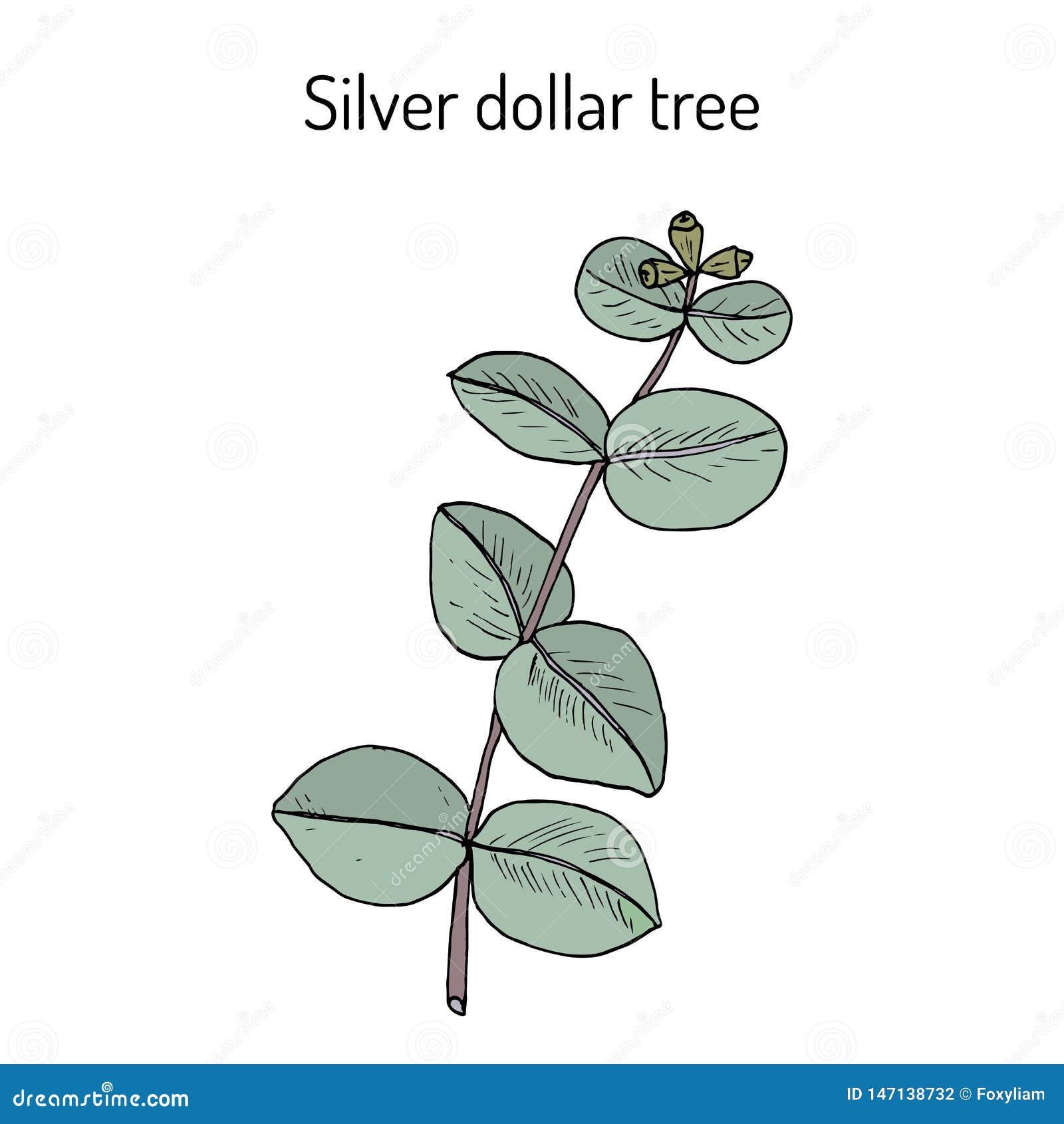 Cinerea Cartoons, Illustrations & Vector Stock Images - 585 Pictures to ...