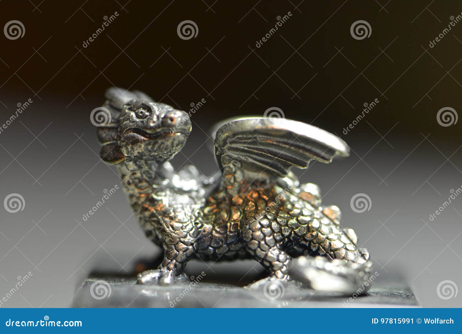 Silver dragon stock image. Image of silver, black, texture - 97815991
