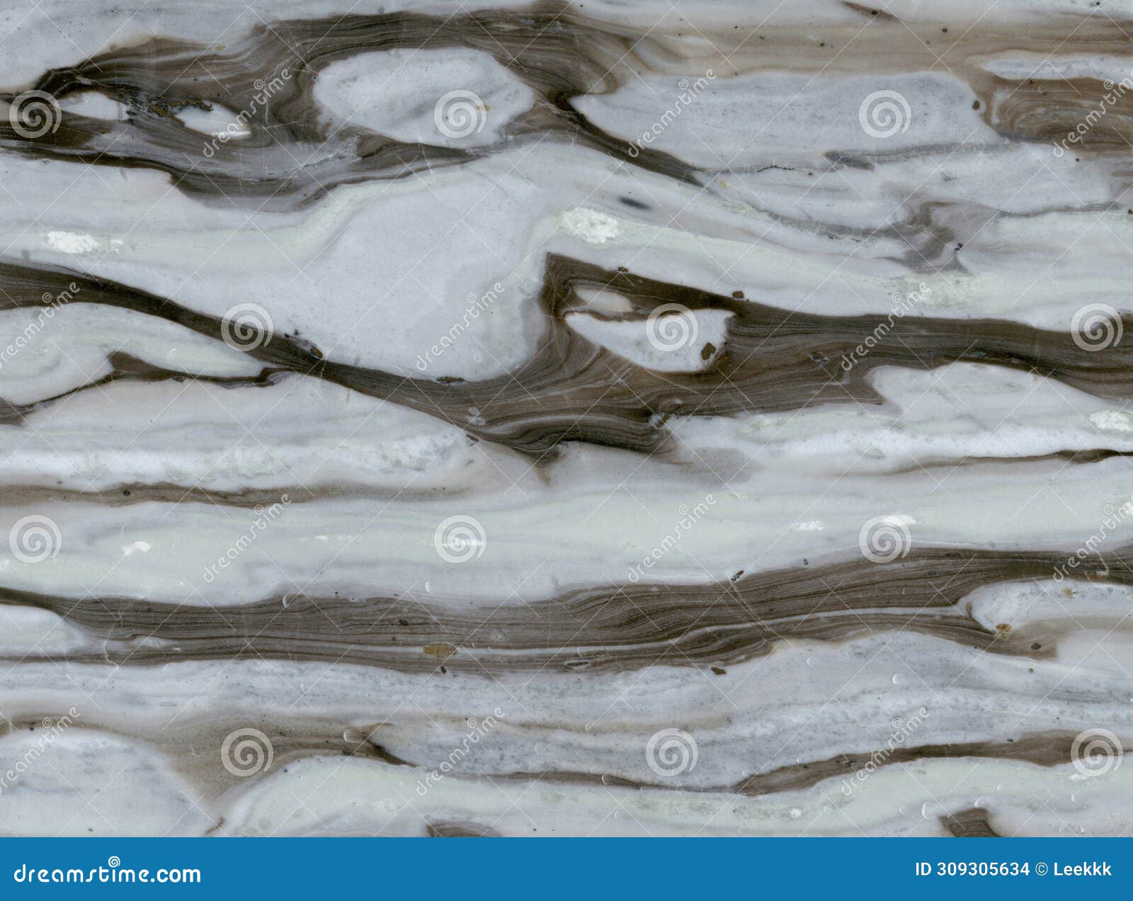 Silver Dragon Stone Plate Marble Background Grain Stock Photo - Image ...