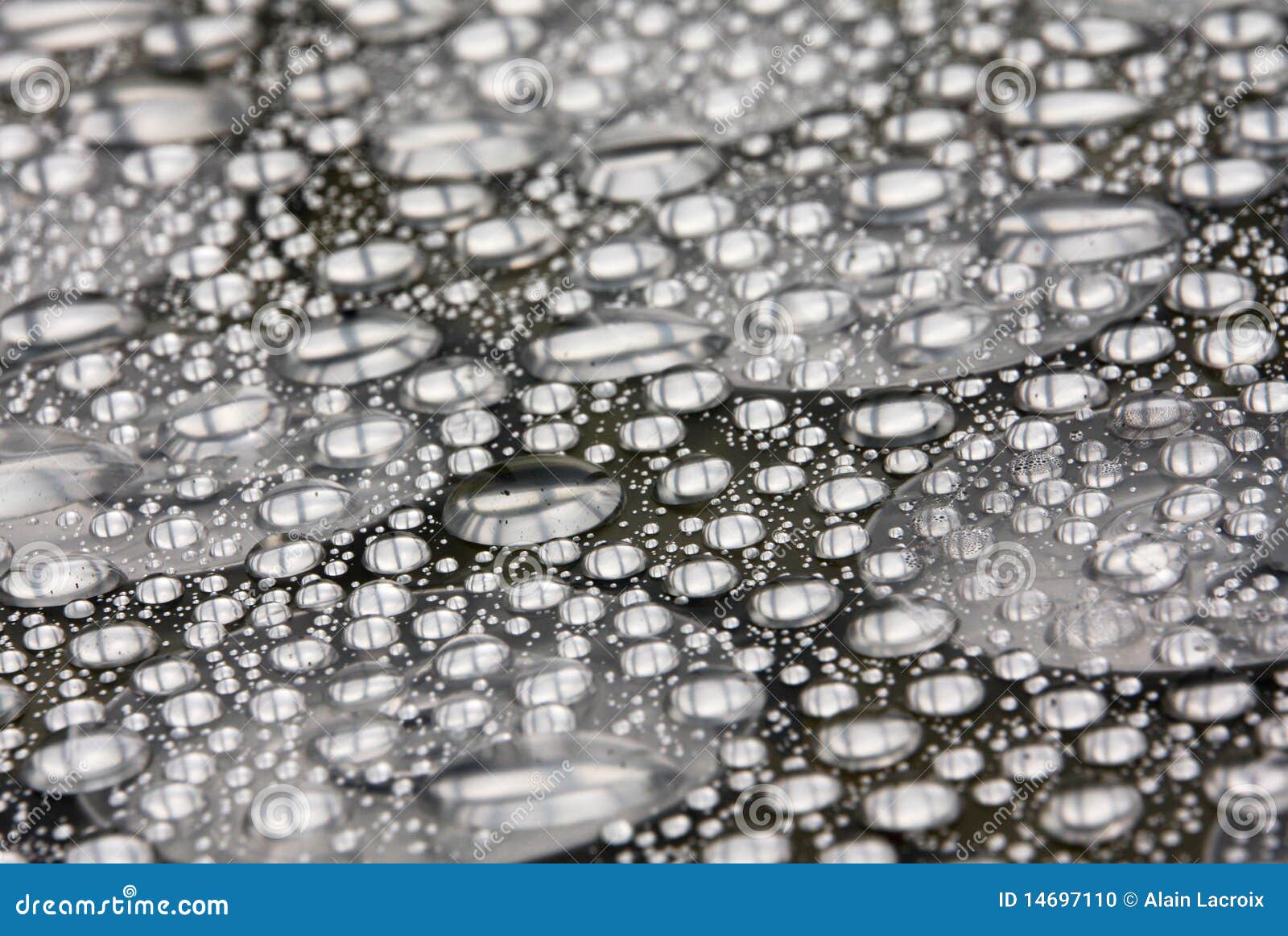 Silver drops stock photo. Image of silver, raindrops - 14697110