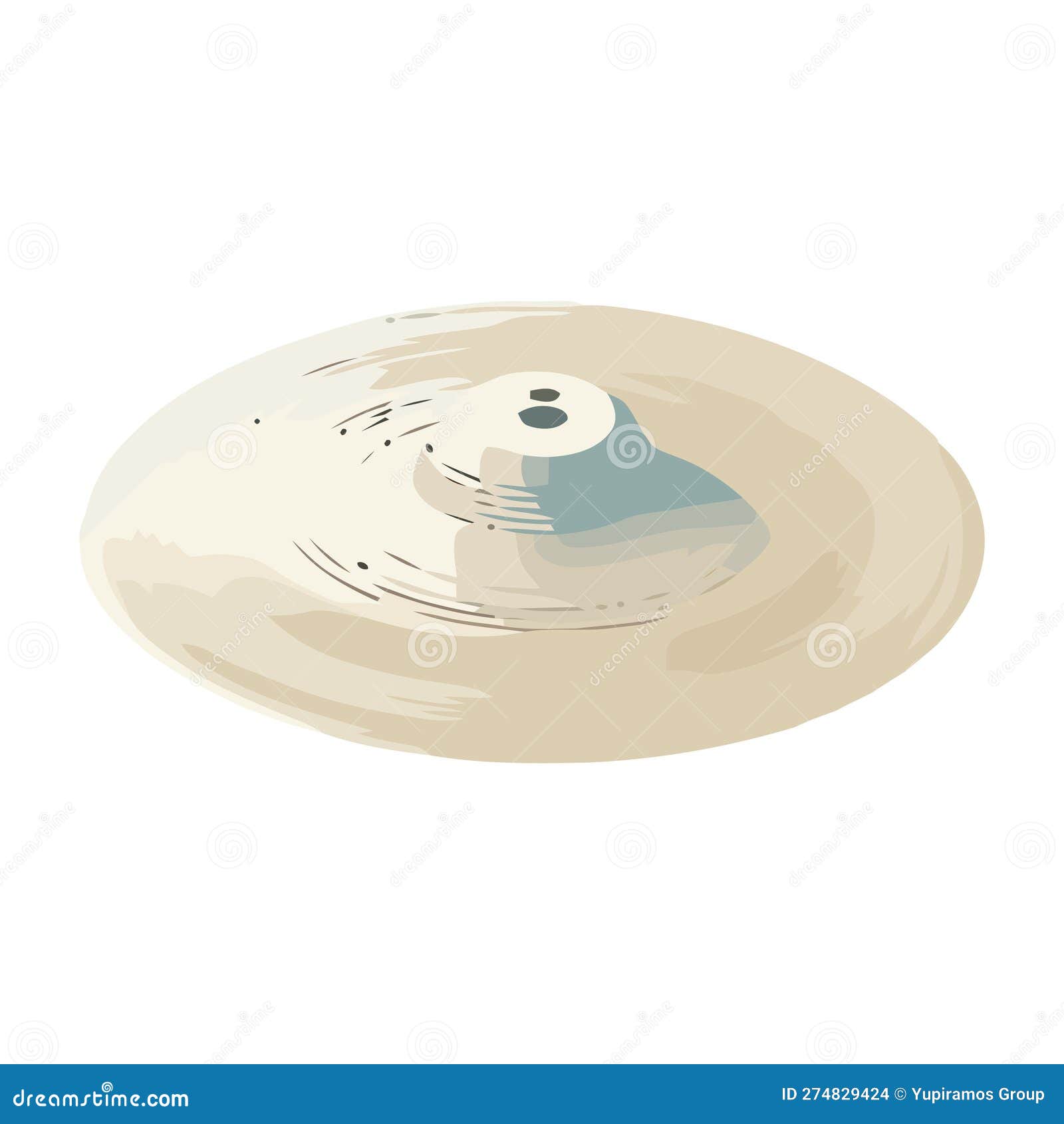 Silver Drum Cymbal Musical Instrument Stock Vector - Illustration of ...