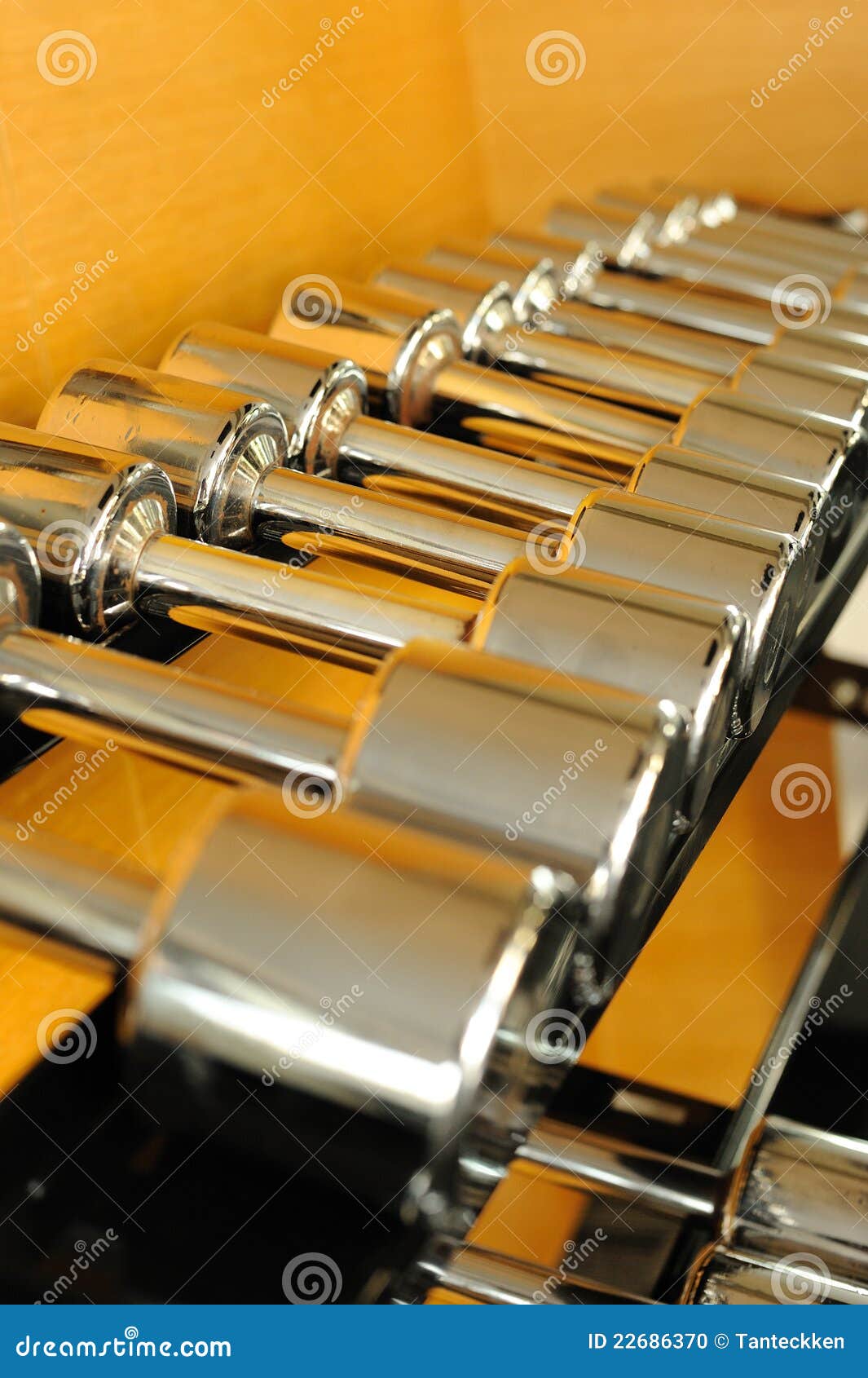 Silver dumbbells stock photo. Image of bells, healthy - 22686370