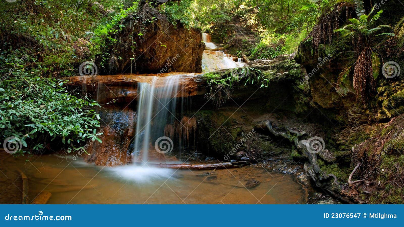Silver Falls on Berry Creek Trail, Big Basin Stock Image - Image of ...