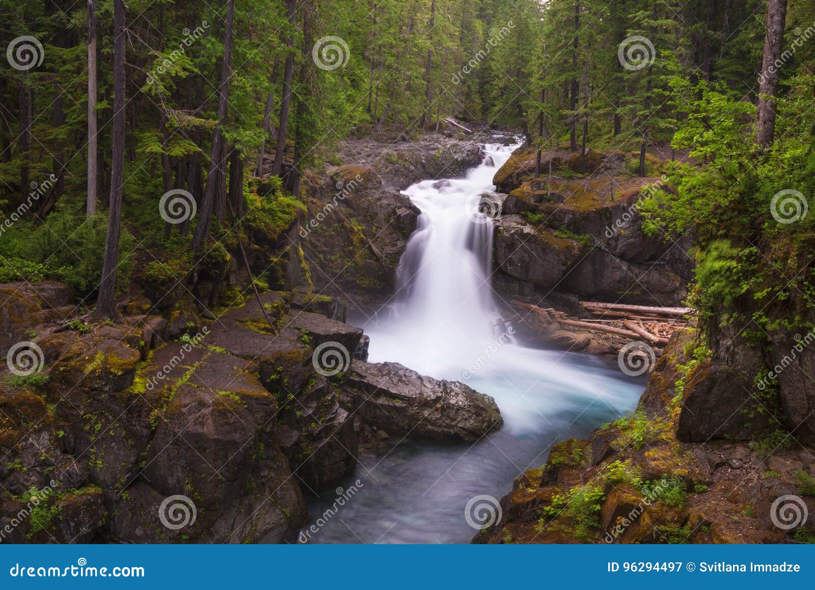 Silver Falls in Mt Rainier NP Stock Image - Image of silver, vacation ...