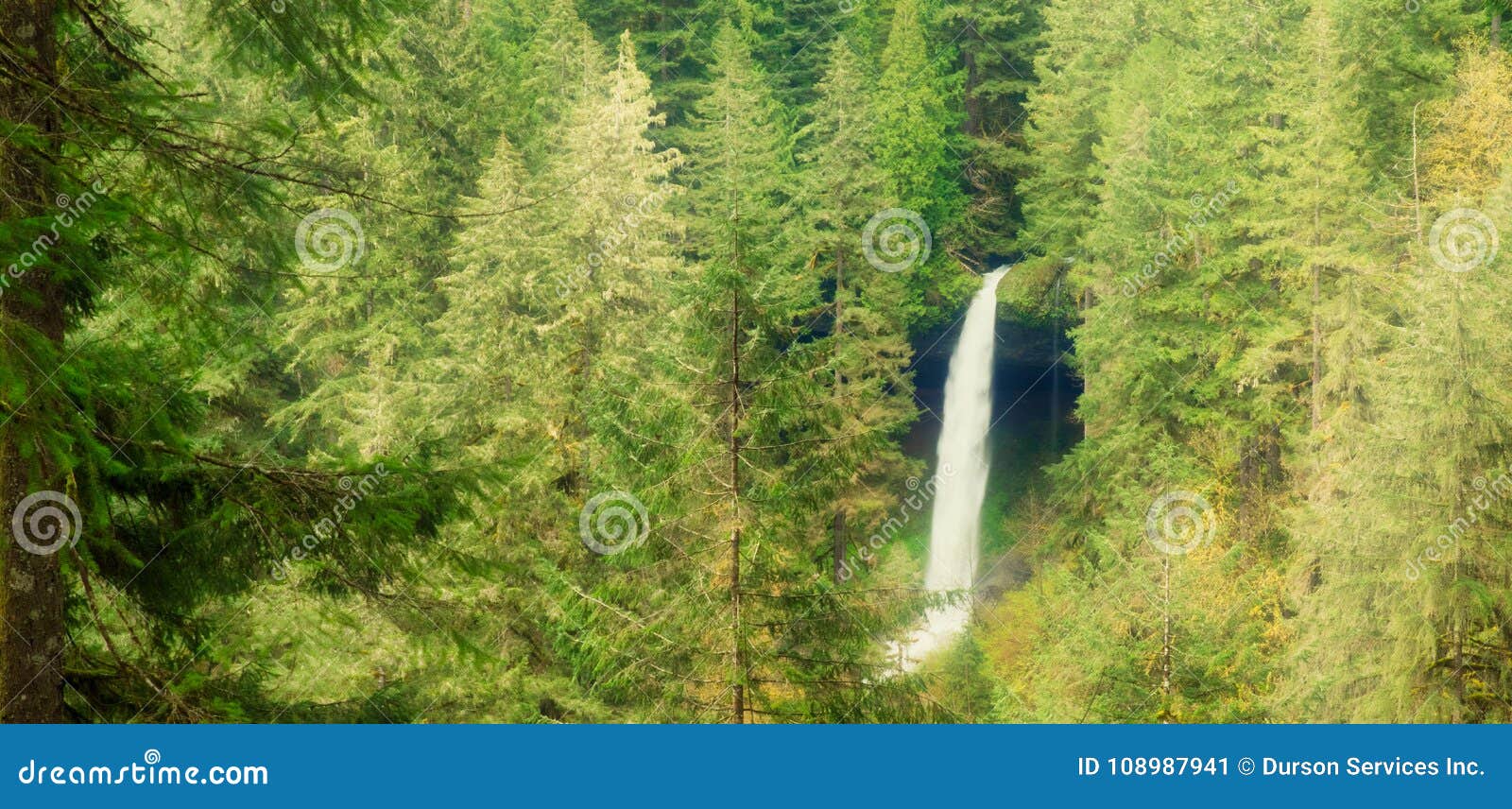 Silver Falls in Oregon stock image. Image of forest - 108987941