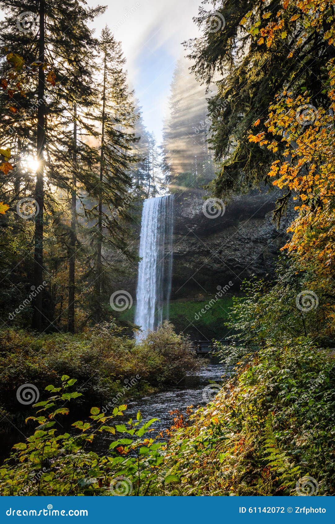 Silver Falls State Park stock photo. Image of gorge, salem - 61142072
