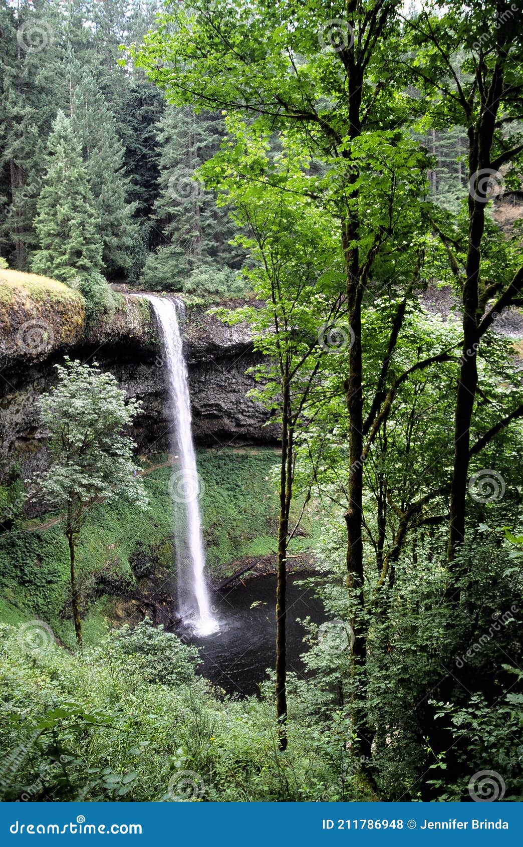 Silver Falls State Park stock photo. Image of sublimity - 211786948