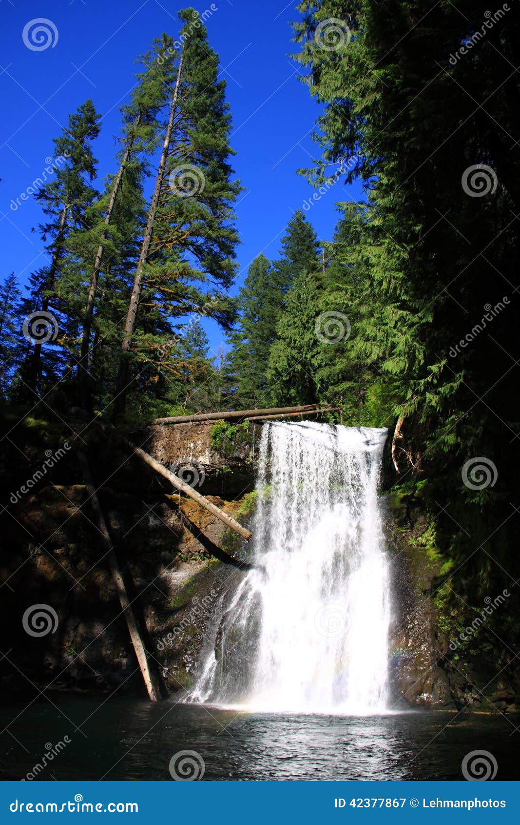 Silver Falls State Park Oregon Stock Image - Image of fall, rocky: 42377867