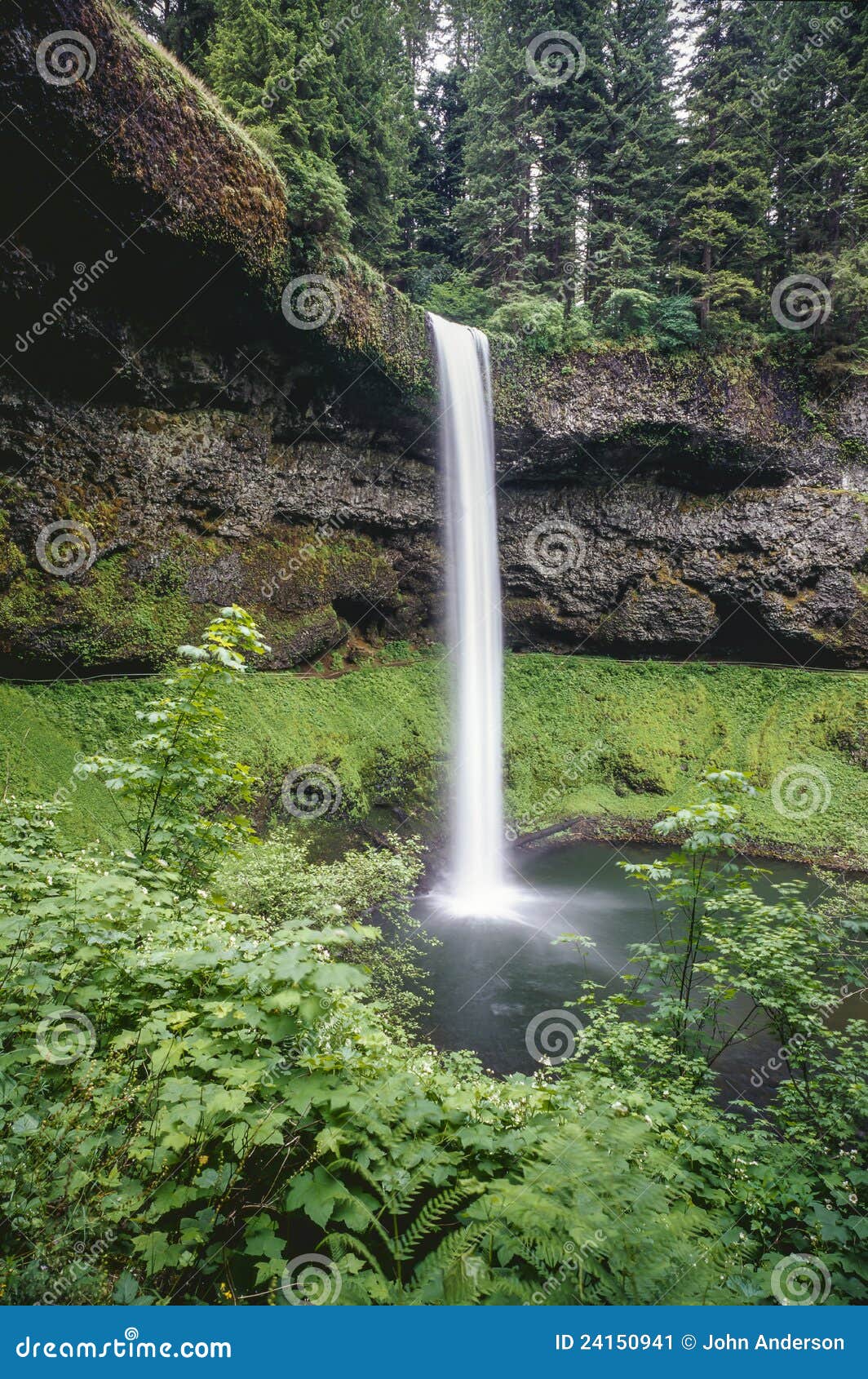 Silver Falls waterfall stock image. Image of water, silver - 24150941