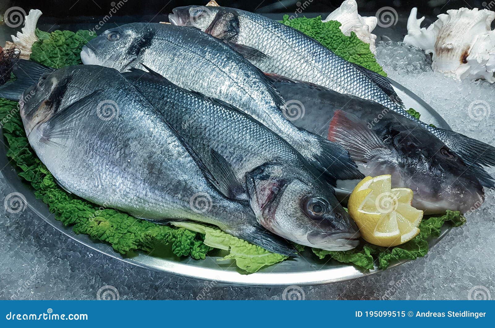 Fish on ice stock image. Image of bluefish, freshness - 195099515