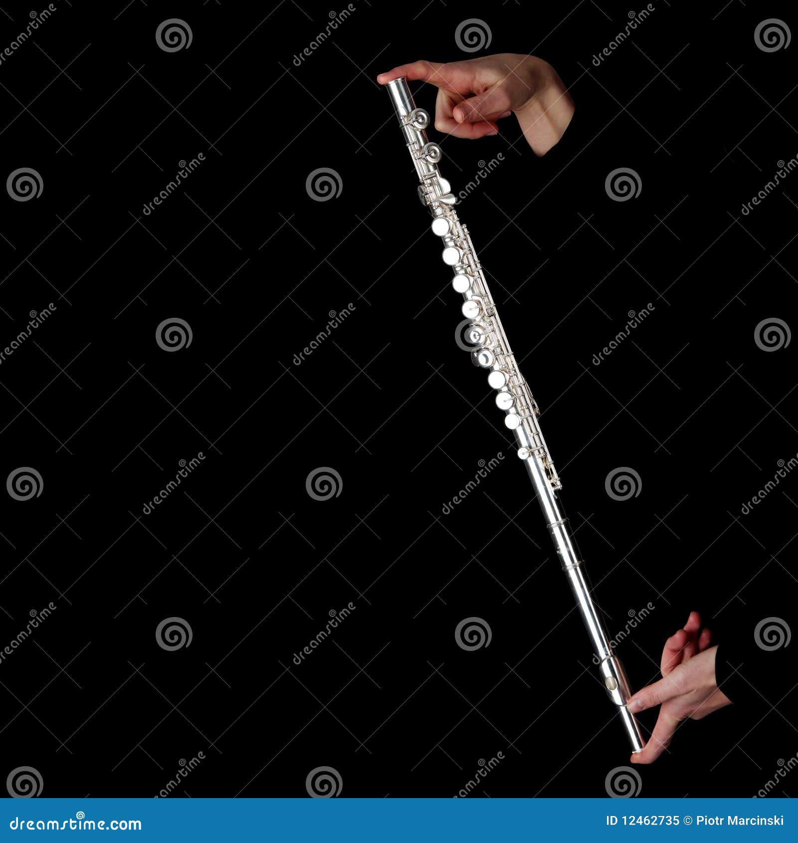 Silver Flute Royalty-Free Stock Photography | CartoonDealer.com #22960415