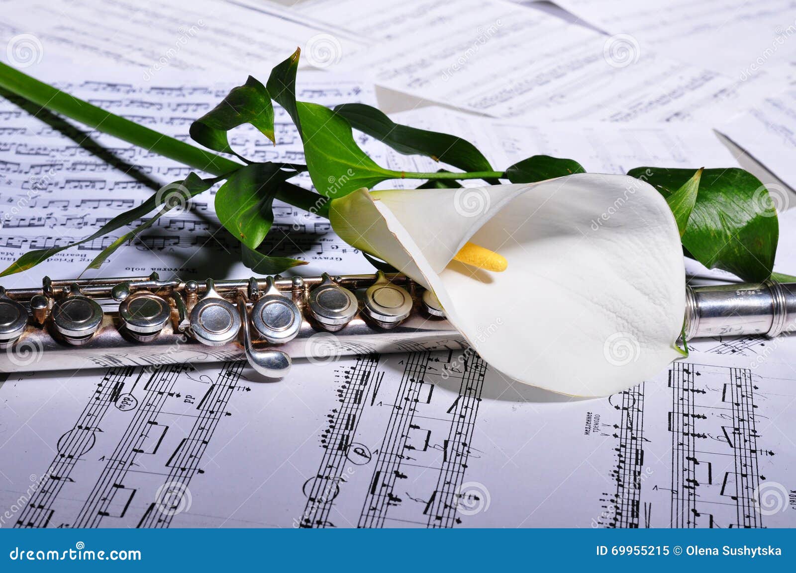 Silver Flute and Sheet Music, Flower Stock Image - Image of creative ...