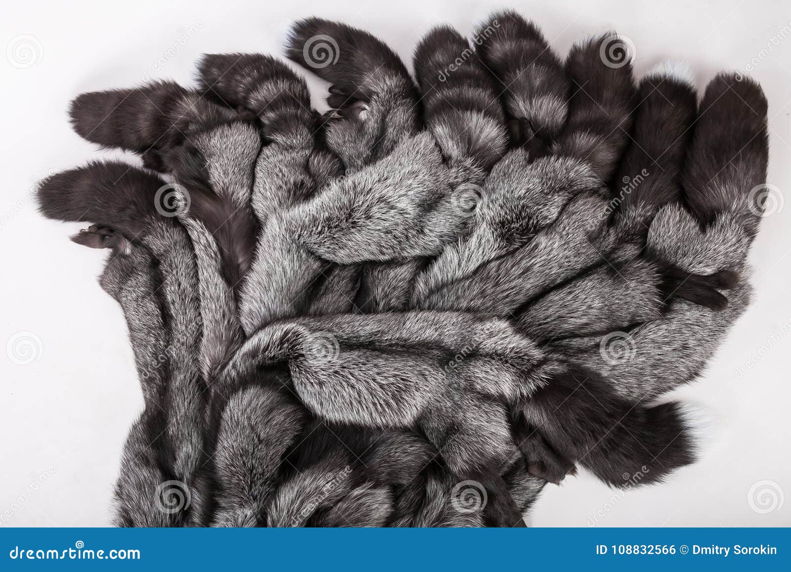 Silver fox fur stock photo. Image of macro, elegant - 108832566