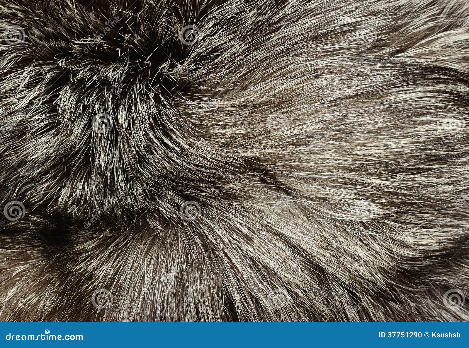 Silver fox fur stock photo. Image of deluxe, folds, heat - 37751290