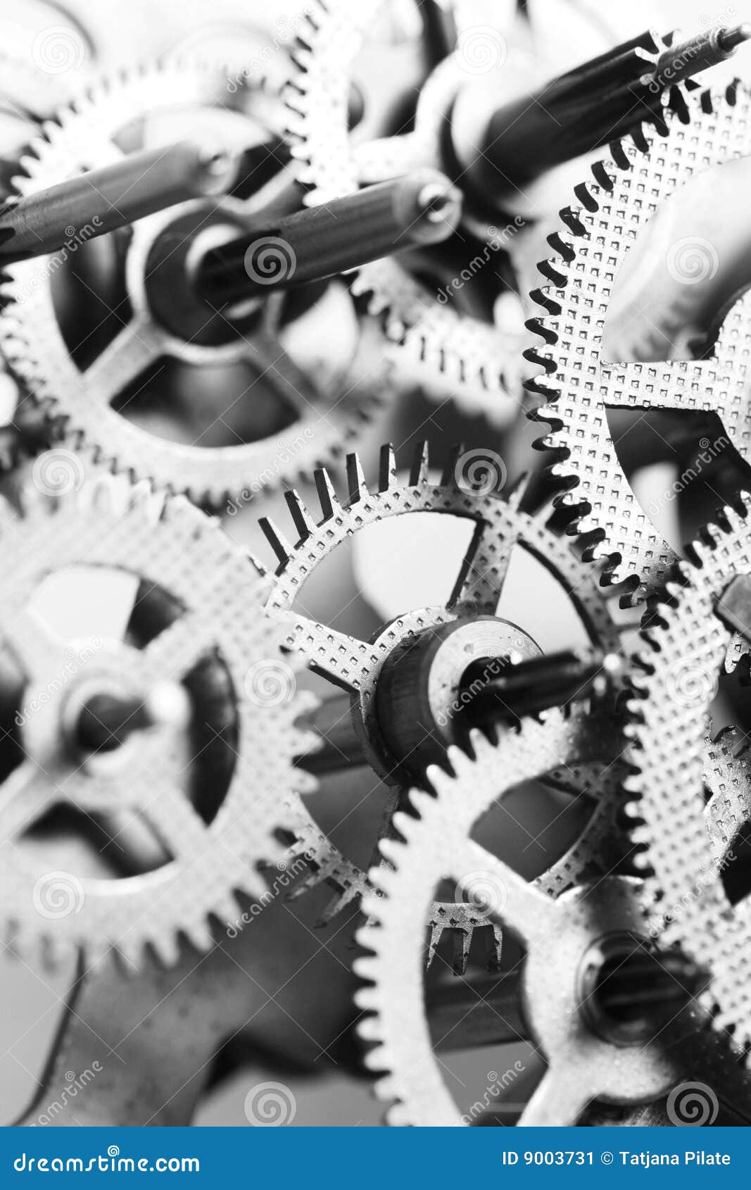 Silver gear stock image. Image of gold, iron, group, clock - 9003731