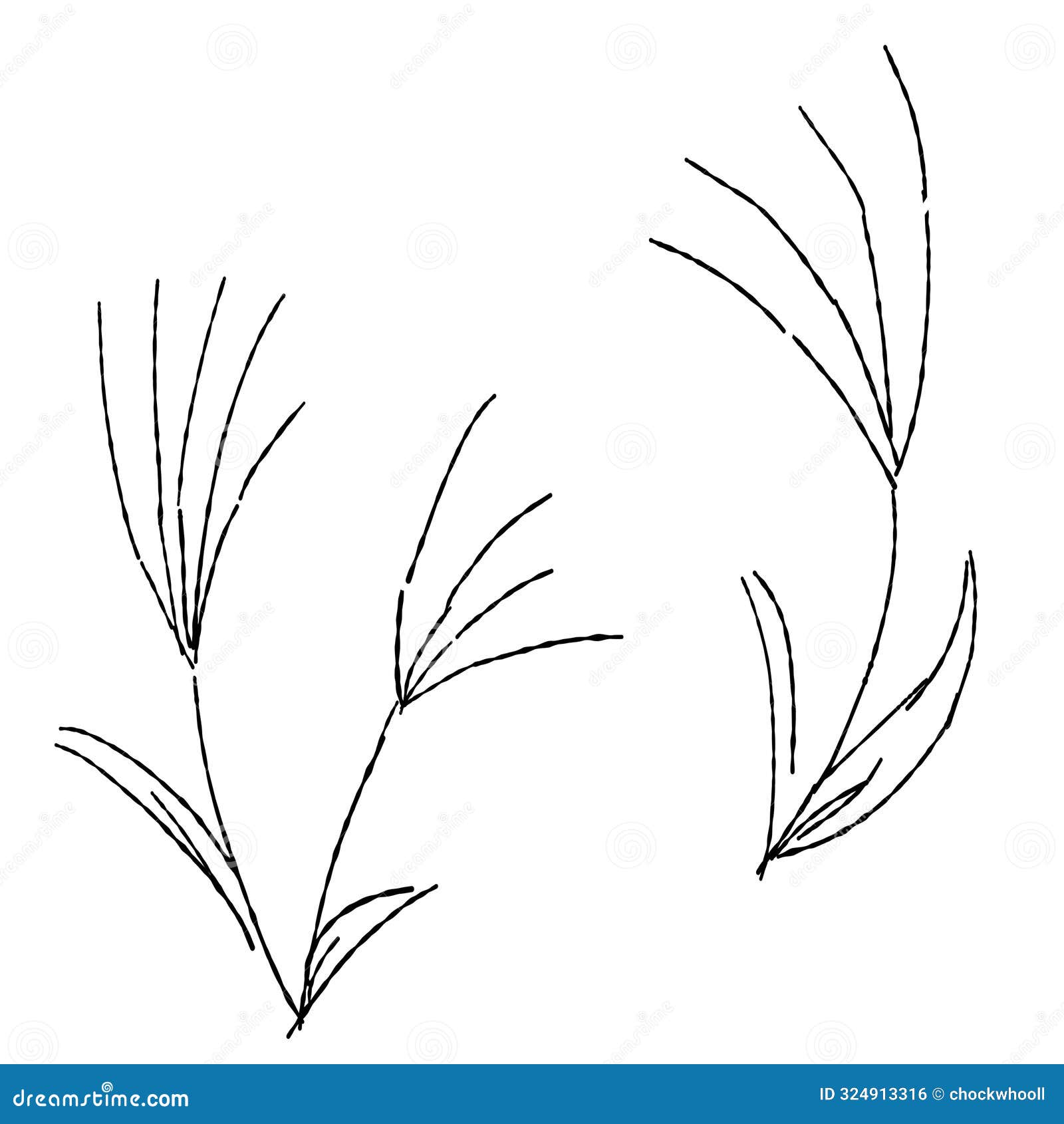 Silver Grass, Line Drawing Illustration Set Stock Vector - Illustration ...