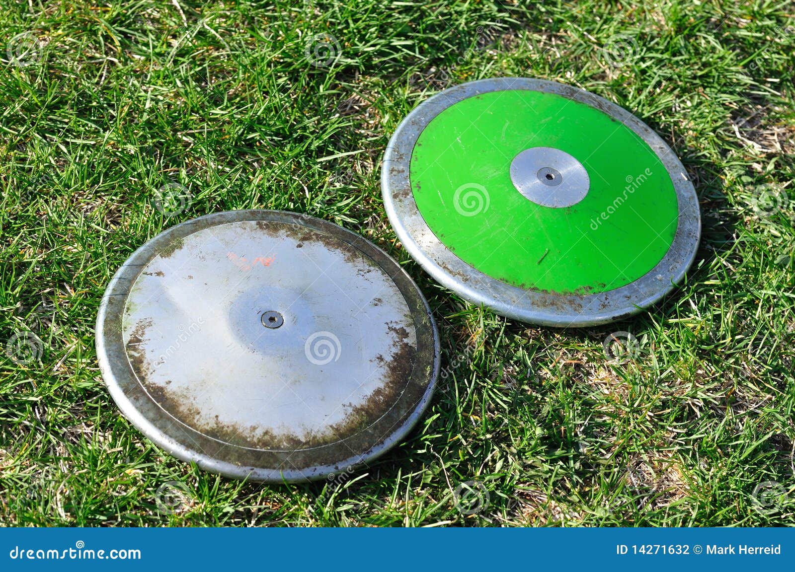 Silver and Green Discus stock photo. Image of event, disci - 14271632