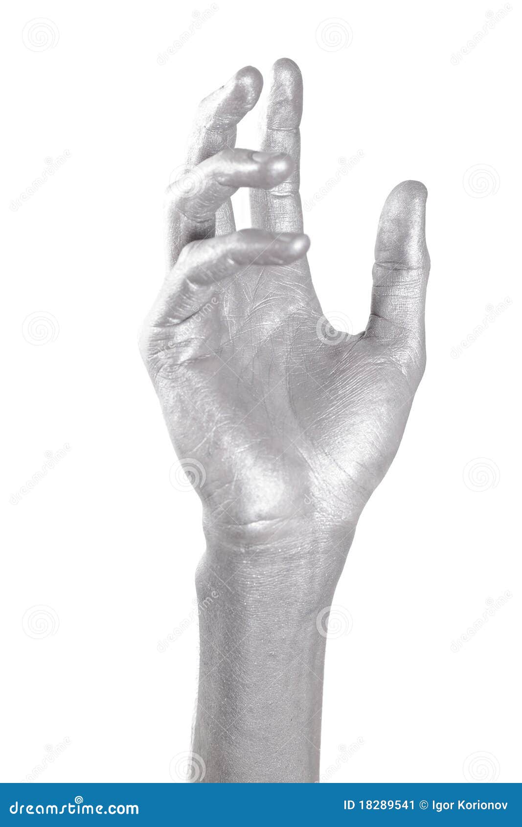 Silver Hand in Graceful Gesture Stock Image - Image of couple, white ...