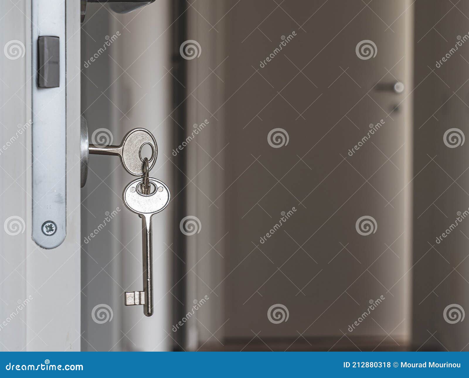 A Silver Key Inside the Door Lock. Stock Photo - Image of keyhole, keys ...