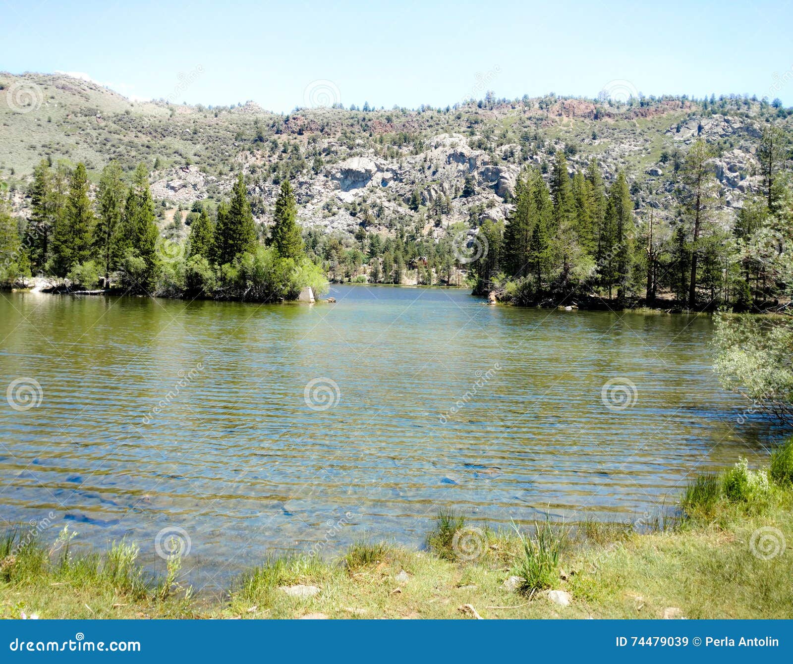 Silver Lake Resort stock image. Image of resort, nature - 74479039