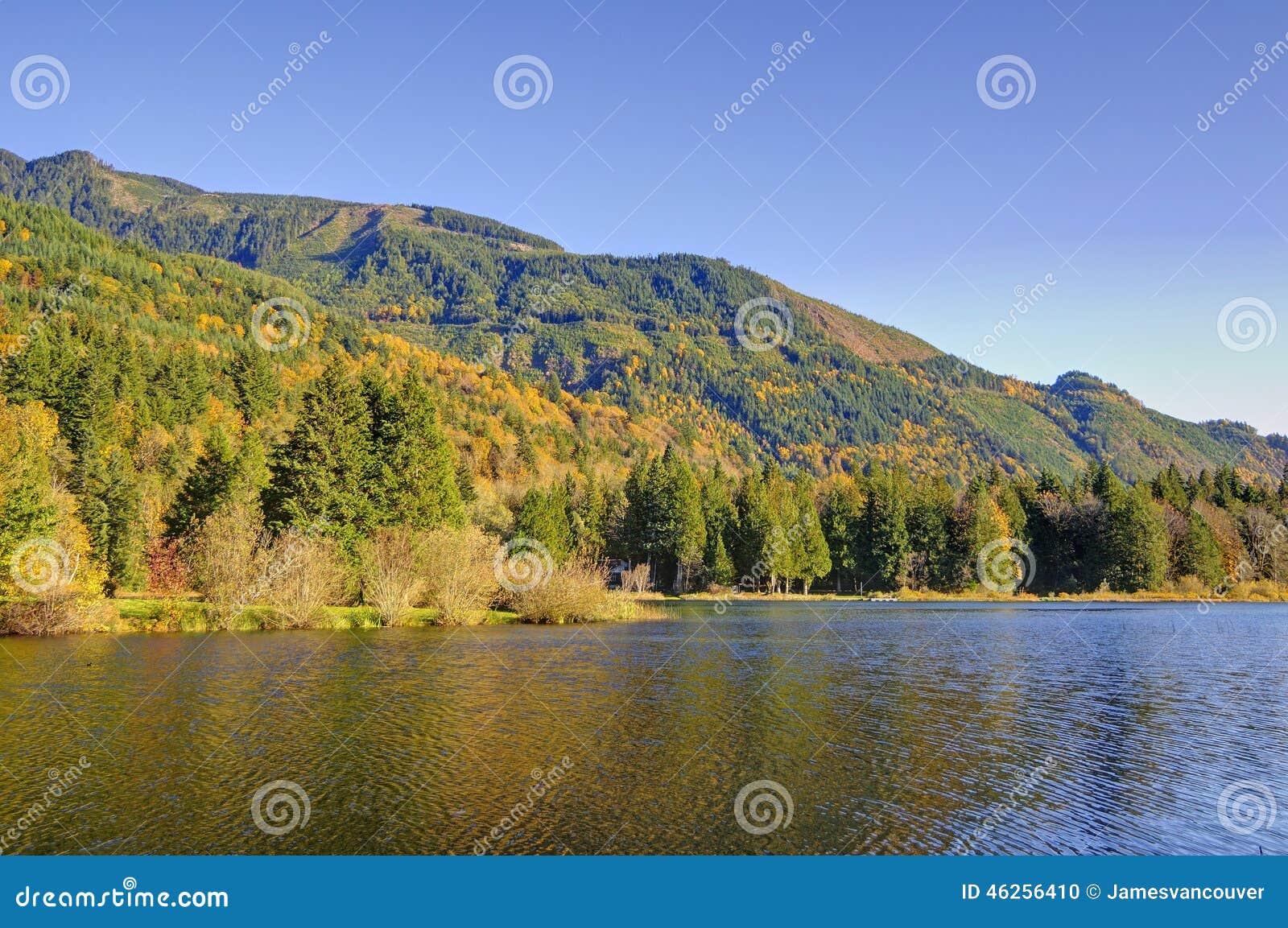 Silver Lake, Whatcom County Stock Photo - Image of nature, orange: 46256410