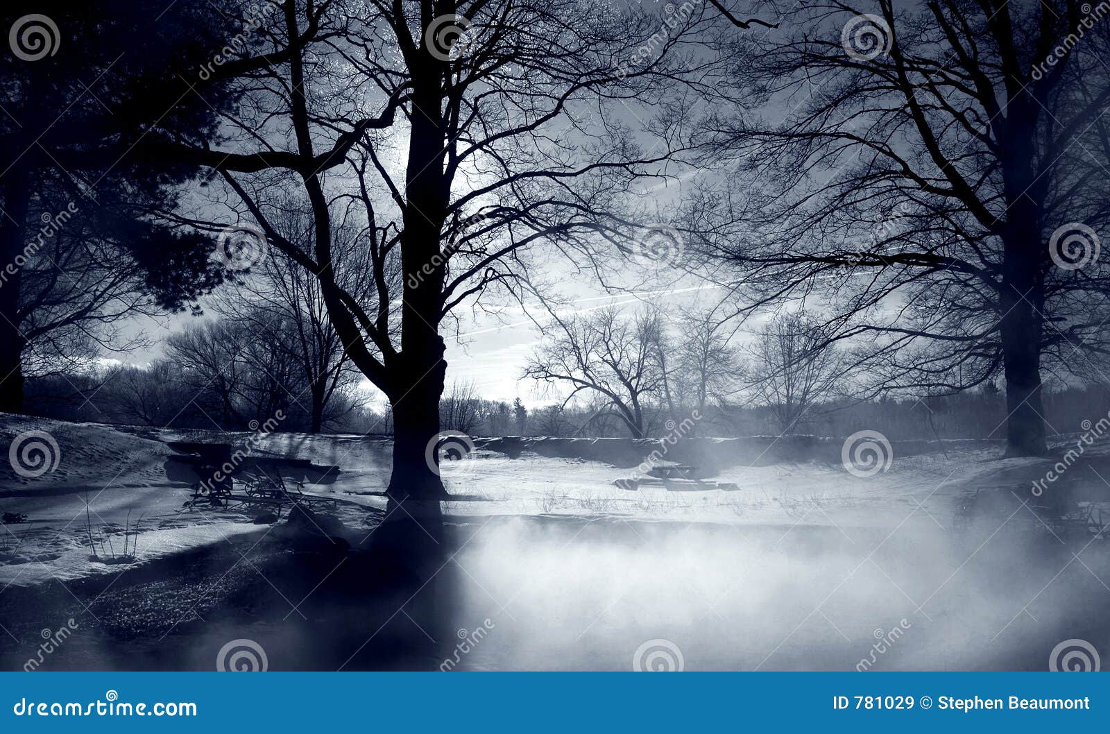 Silver Mist stock image. Image of winter, pool, river, steam - 781029