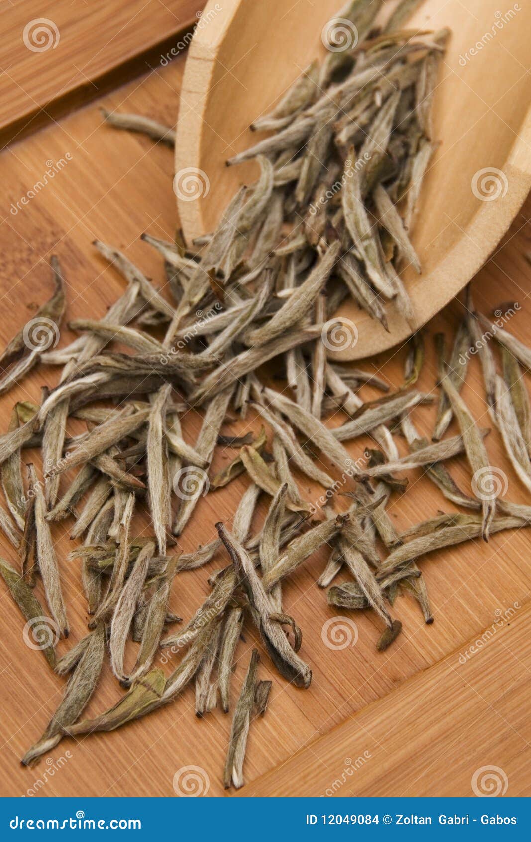 Silver Needle Tea stock photo. Image of antioxidant, greentea - 12049084