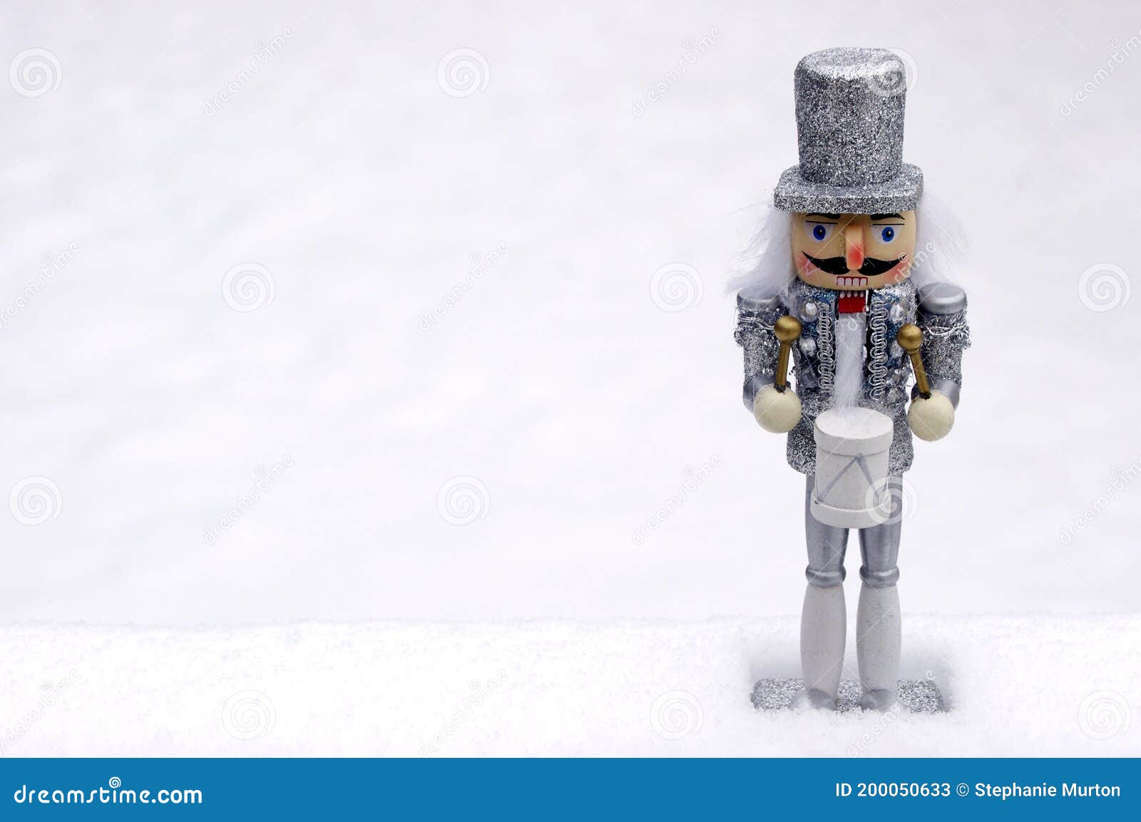 Silver Nutcrack on White Background with Copy Space Stock Image - Image ...