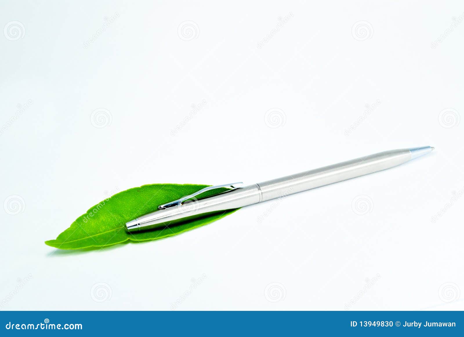 Silver Pen and a Leaf stock photo. Image of write, leaf - 13949830