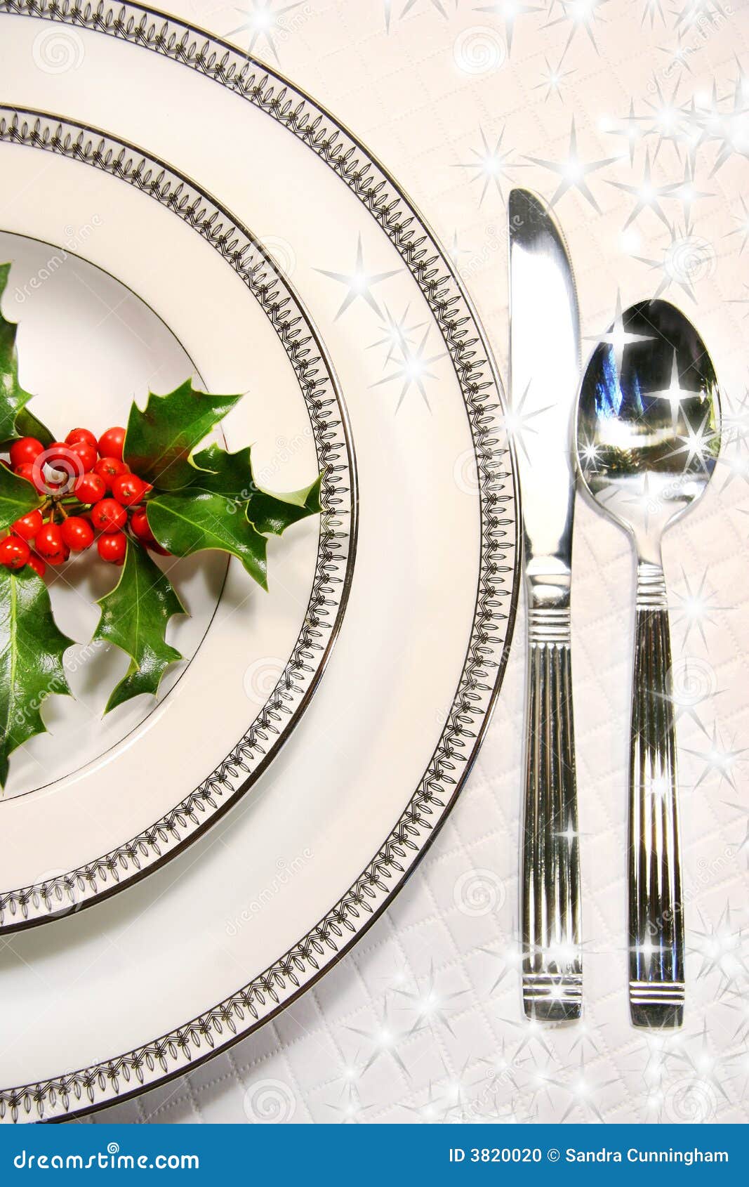 Silver plate setting stock photo. Image of buffet, formal - 3820020