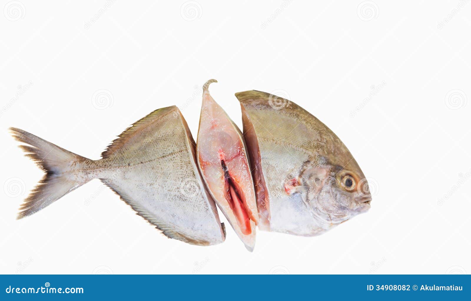 Silver Pomfret Fish II stock photo. Image of fishery - 34908082