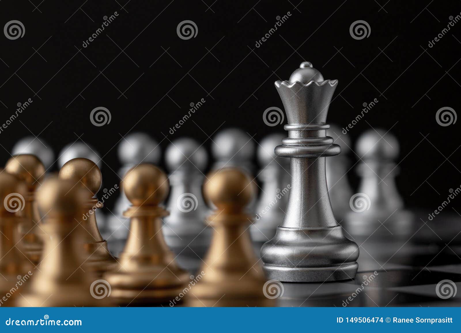 Silver queen is the leader stock photo. Image of defense - 149506474