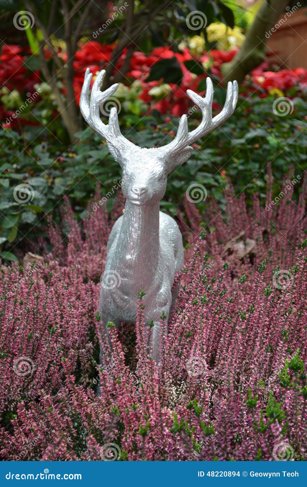 Silver reindeer stock photo. Image of flowers, festive - 48220894