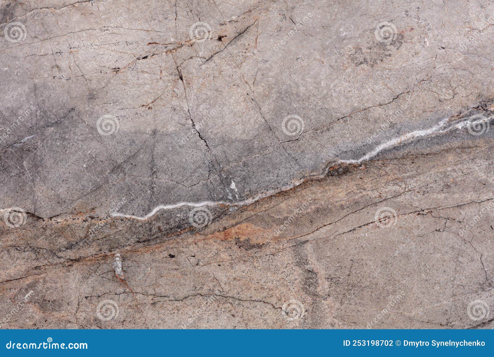 Silver Roots Marble Background, Texture in Stylish Tone. Stock Photo ...