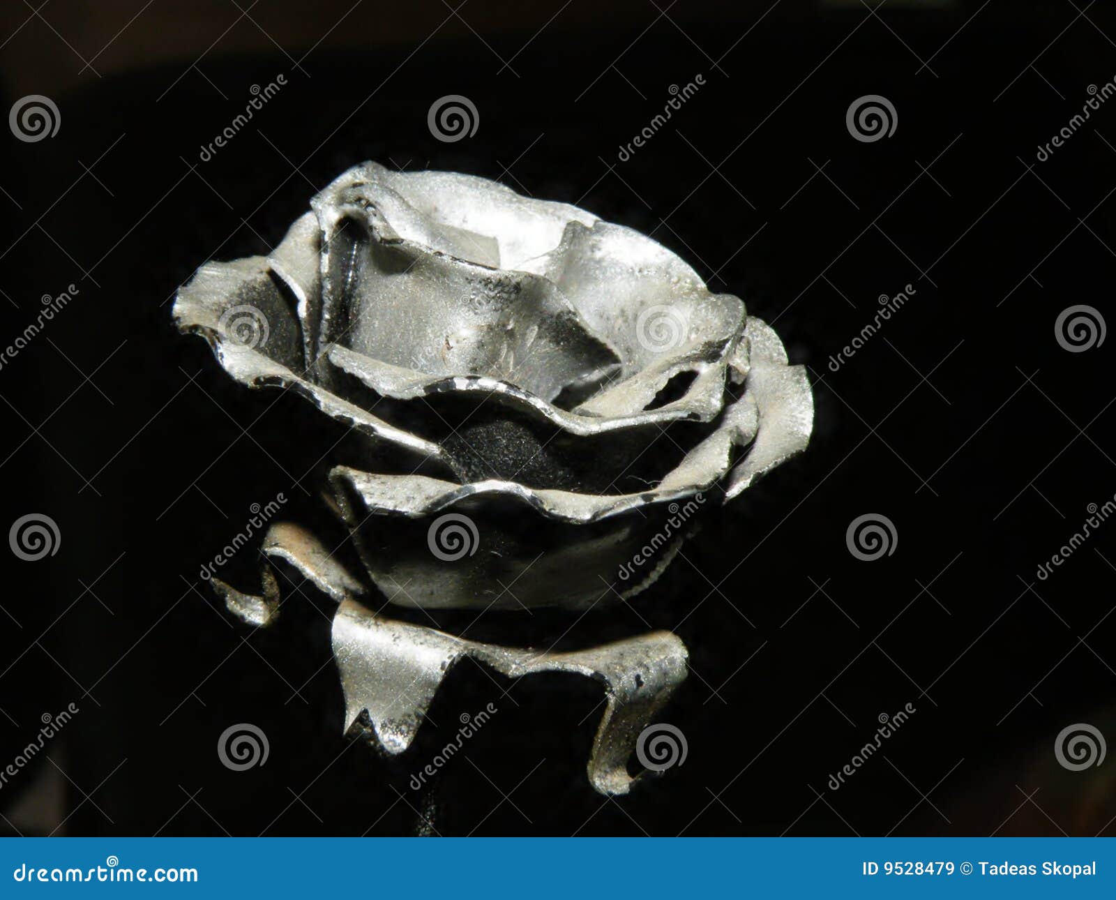 Silver Rose Flower On Gold Background. Luxury And Success. Metallized ...