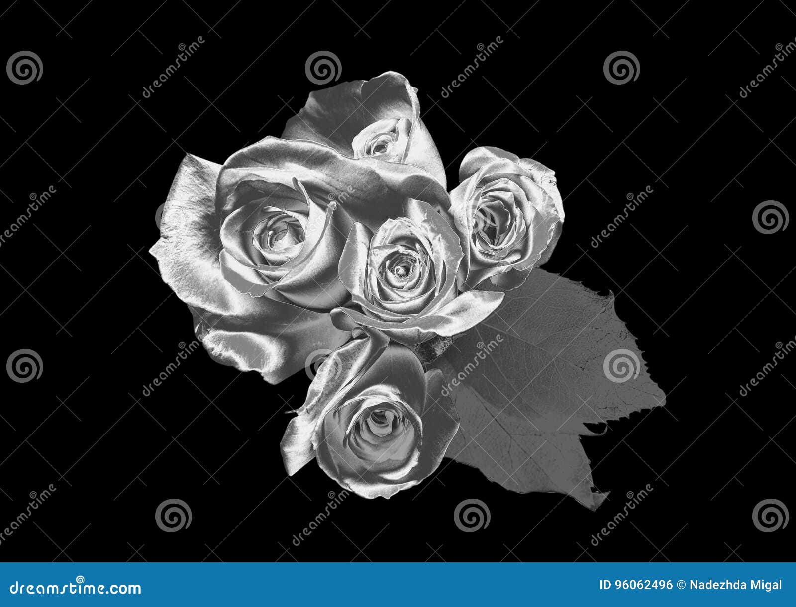 Silver rose stock photo. Image of silver, jewelry, flower - 96062496